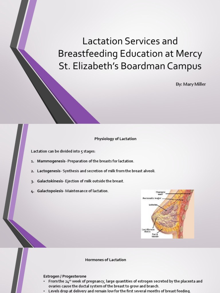 Lactation Services and Breastfeeding Education at Mercy ST | PDF ...
