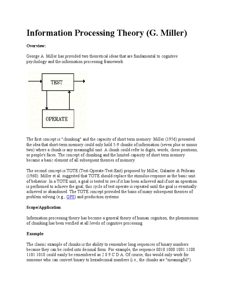 Information Processing Theory | PDF | Neuroscience | Neuropsychological ...