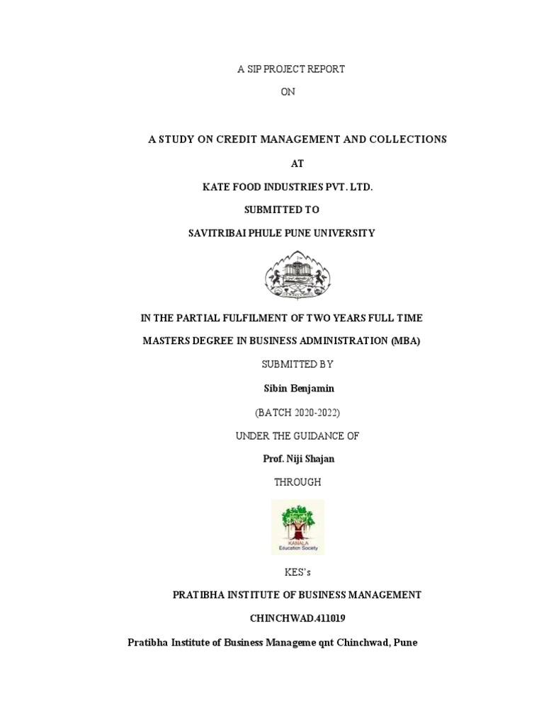 Sibin Benjamin 163 SIP Report | PDF | Credit | Finance & Money Management