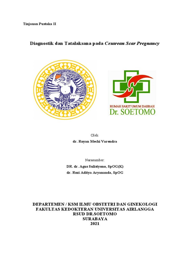 Compile Referat CSP | PDF