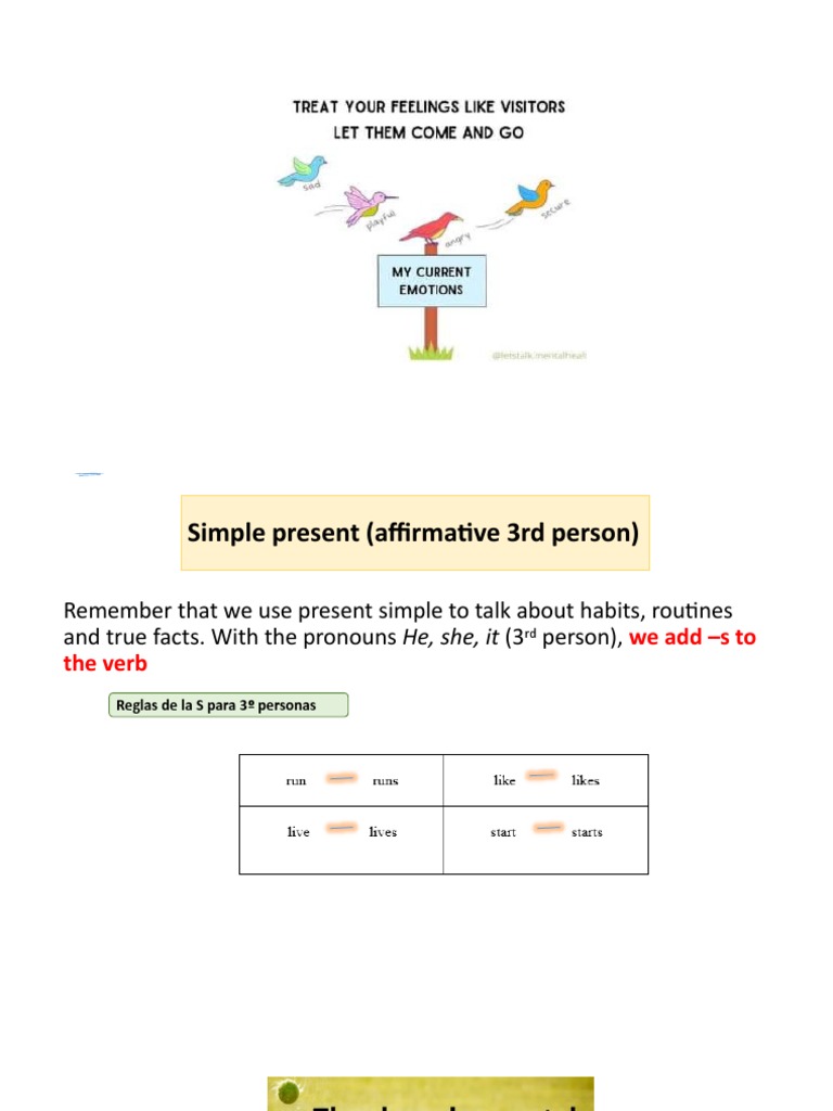 Simple Present Affirmative 3rd Person | PDF