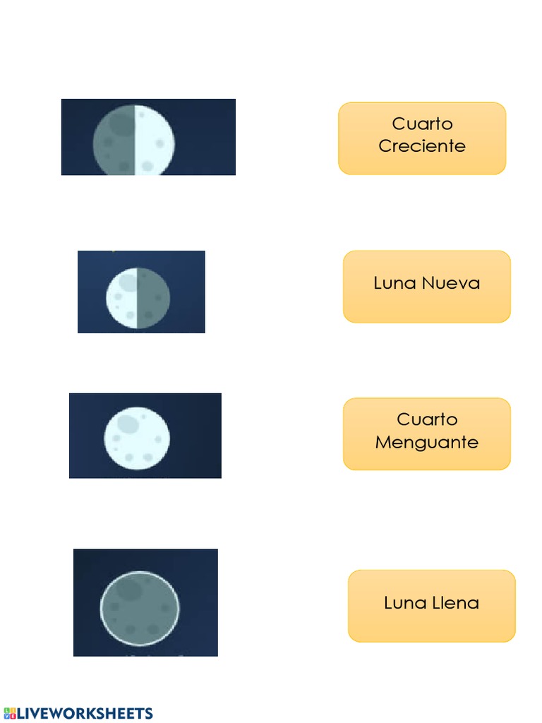 Fases de La Luna | PDF