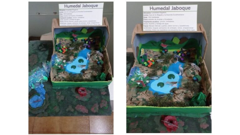 Ok Diorama Del Humedal Jaboque Isabella Gomez Ospina 7C | PDF