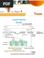 BIO-TISSUES MIND MAP Class 9 | PDF