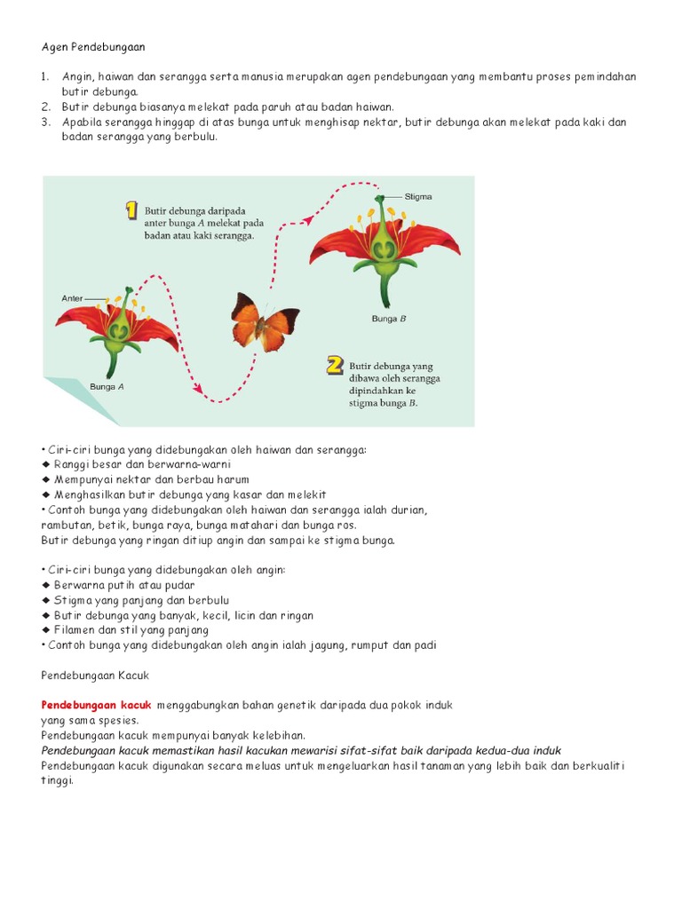 Agen Pendebungaan | PDF
