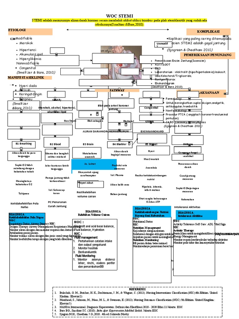 Woc Stemi-Hera | PDF
