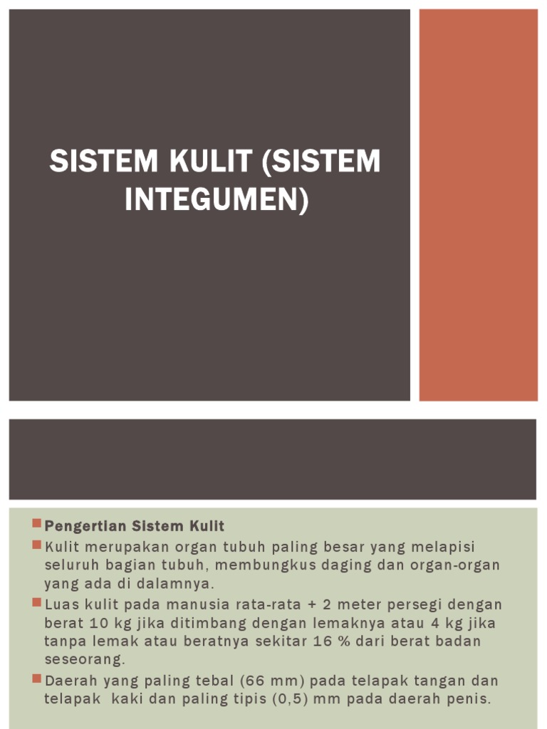 Sistem Kulit (Sistem Integumen) | PDF