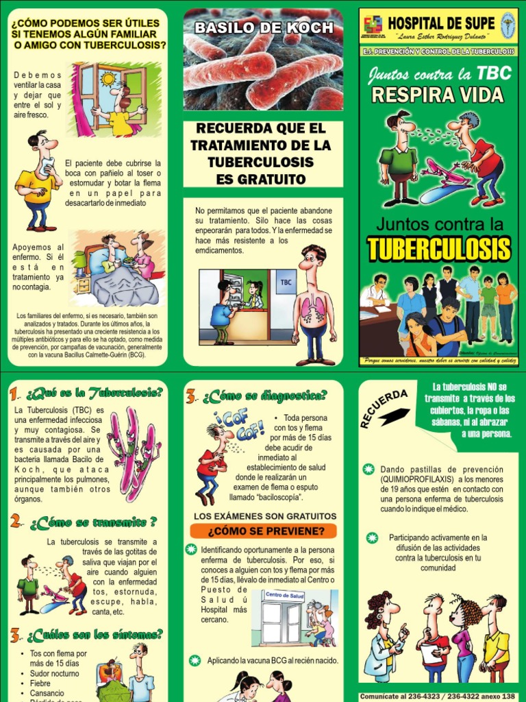 Triptico Sobre La Tuberculosis | PDF