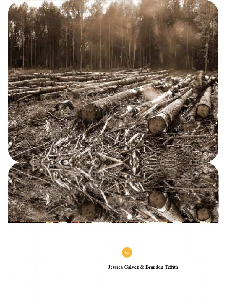 Illegal Logging Case Study | PDF | Logging | Deforestation