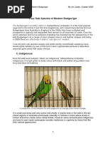 The Rainbow Serpent (Dick Roughsey) | PDF