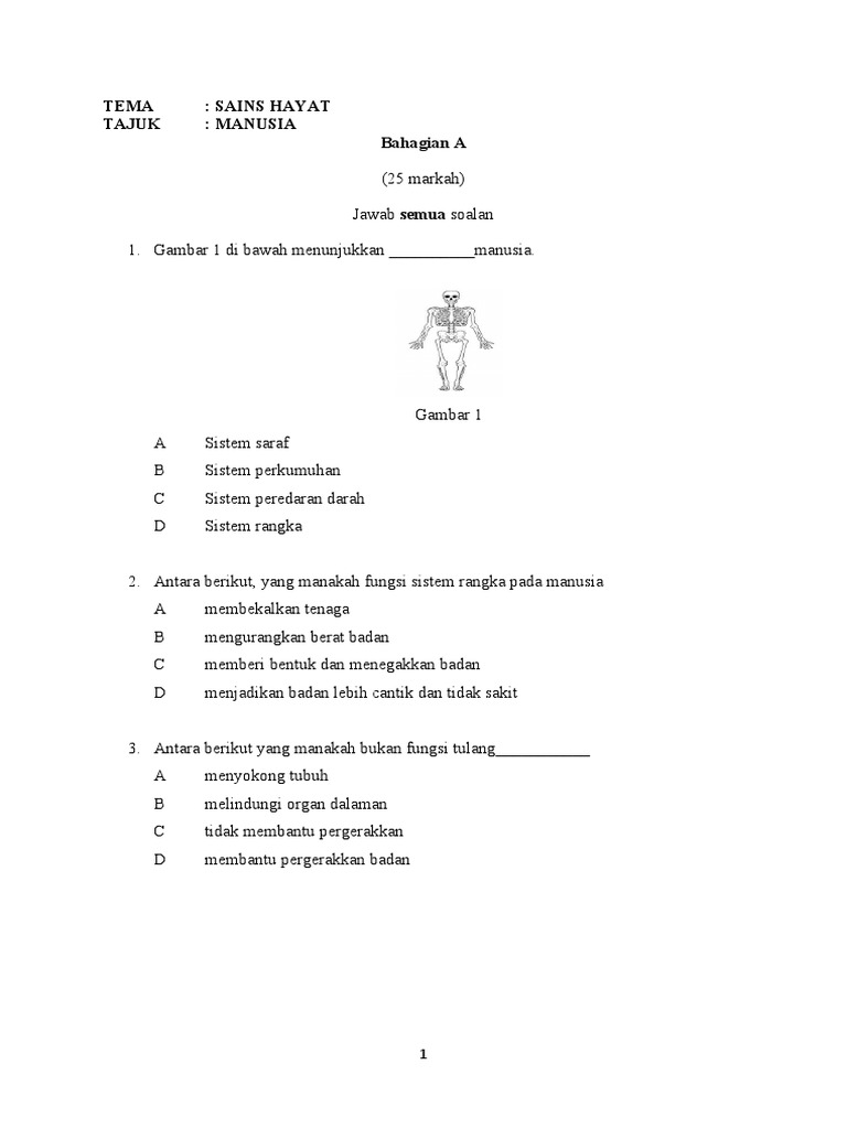 Ujian Diagnostik Tahun 5 Pdf