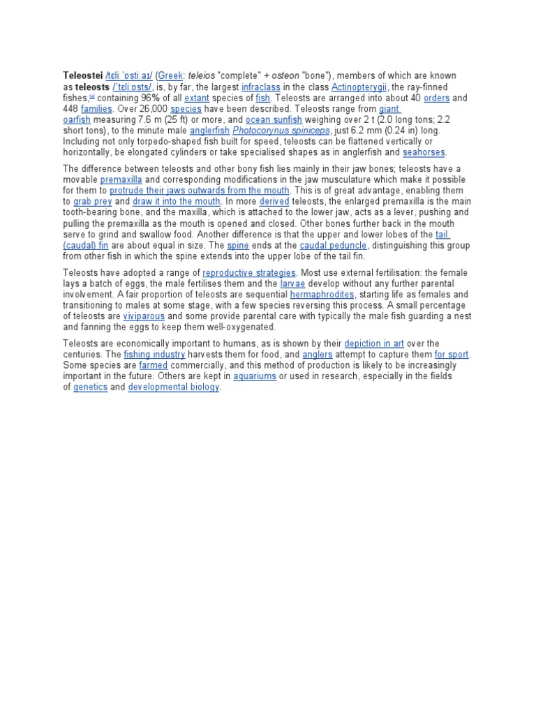 Teleostei: Photocorynus Spiniceps | PDF | Fish | Aquatic Animals