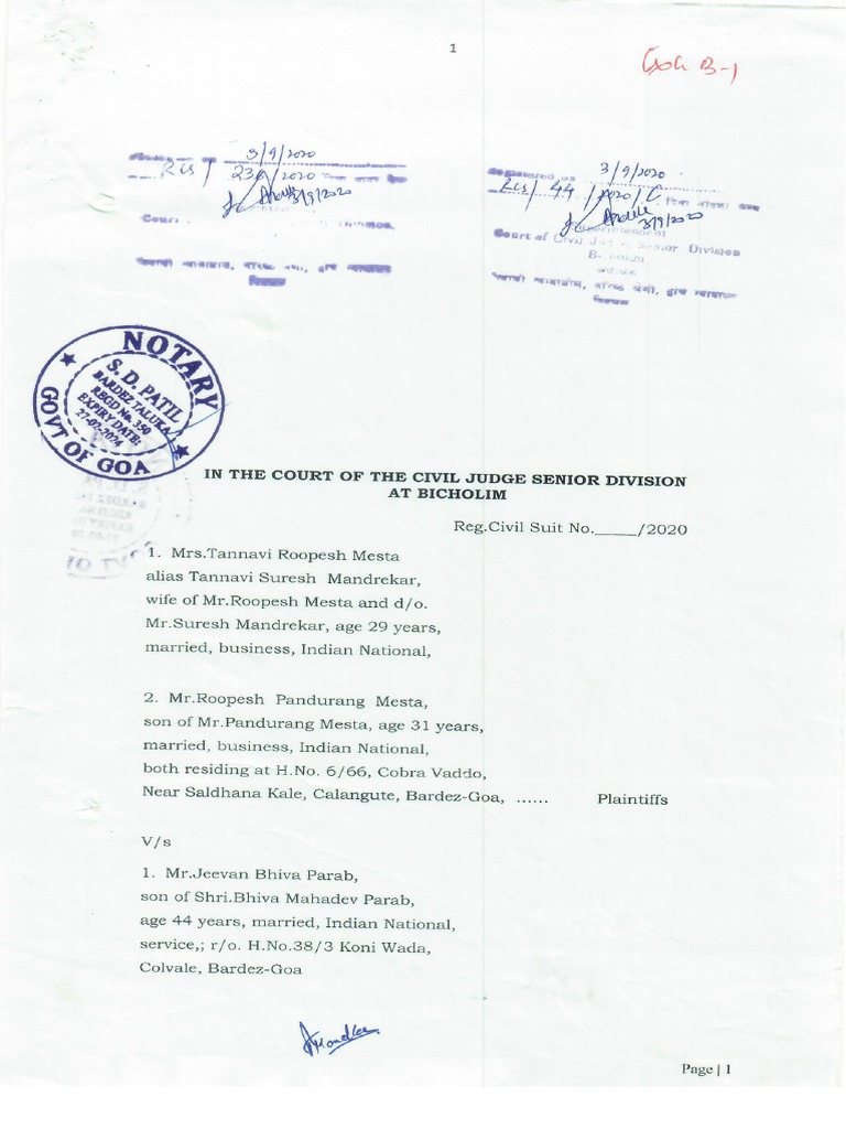 Suit Declaration Pdf