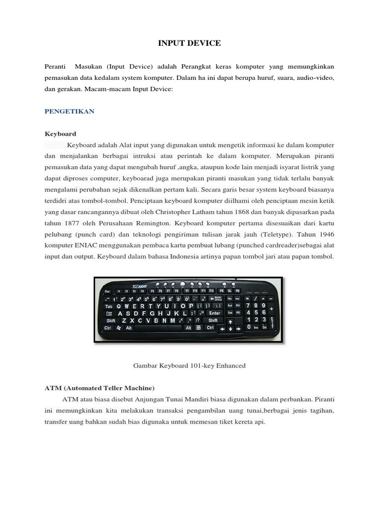 INPUT DEVICES | PDF