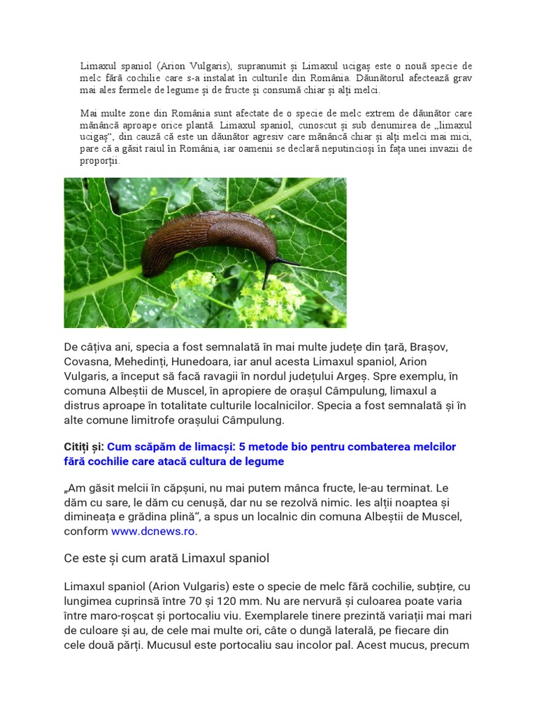 Limax | PDF
