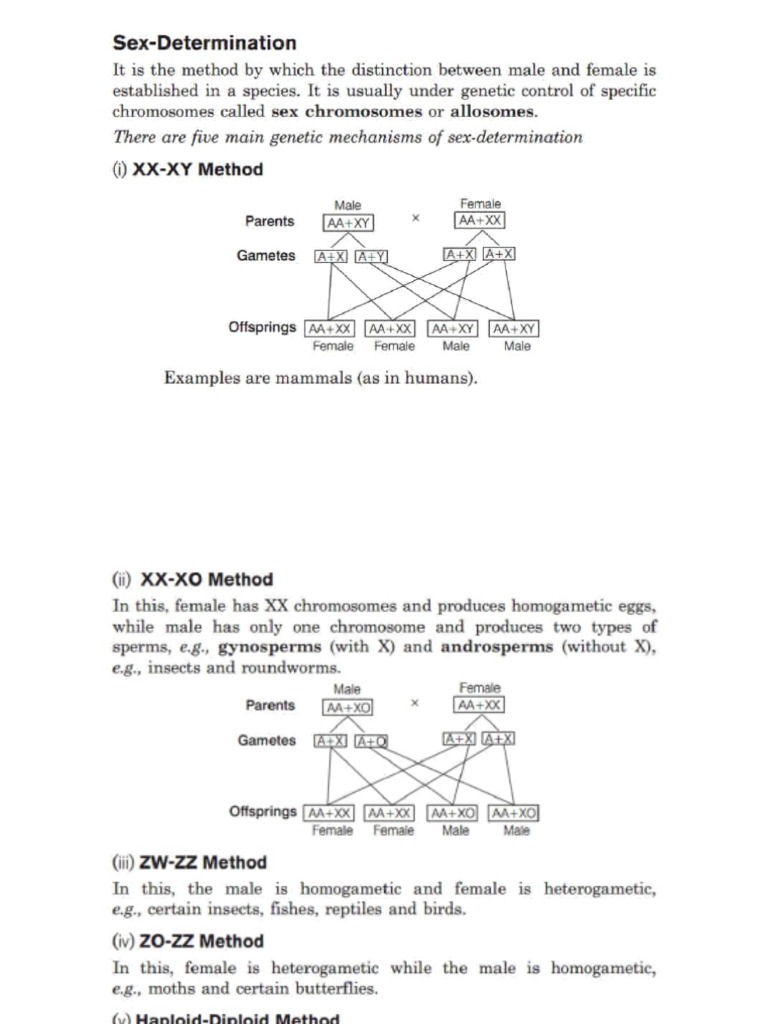 Sex Determination Class 12 Pdf 1307