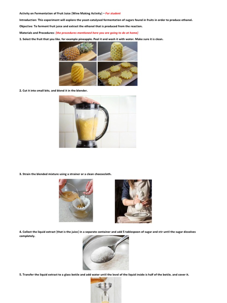 Fermentation of Fruit Juice Experiment | PDF