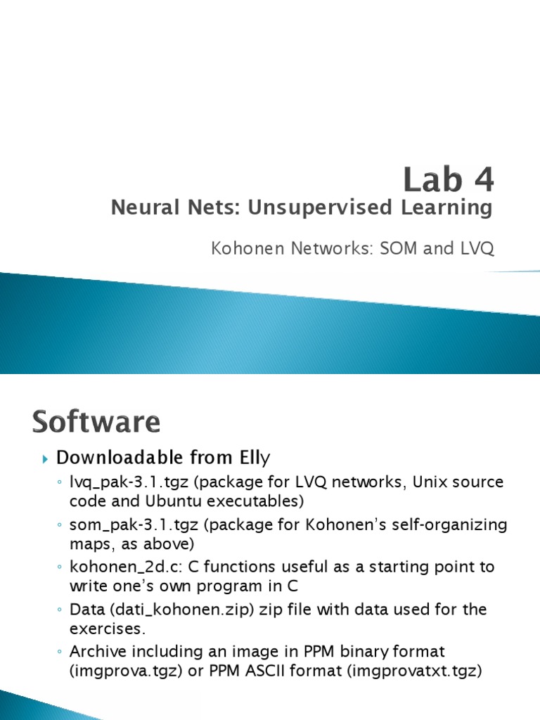 Neural Nets: Unsupervised Learning: Kohonen Networks: SOM and LVQ | Download Free PDF ...