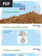 LSU-Ag Planting Guide | PDF | Vegetables | Fertilizer