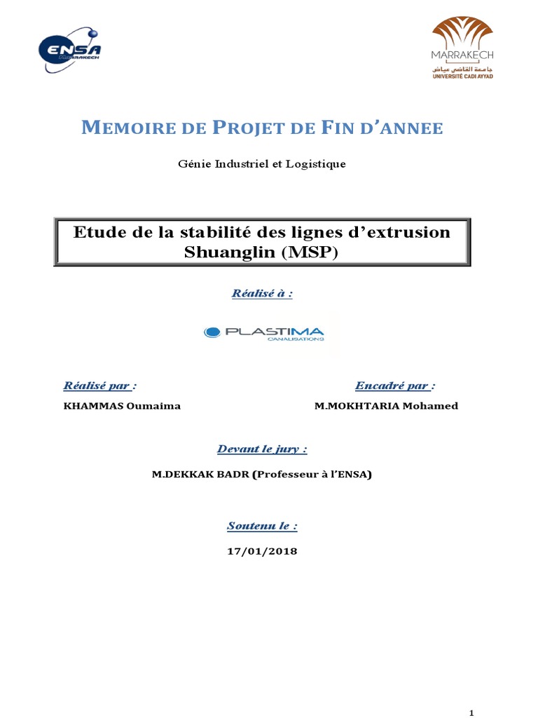 Rapport PFA Final | PDF