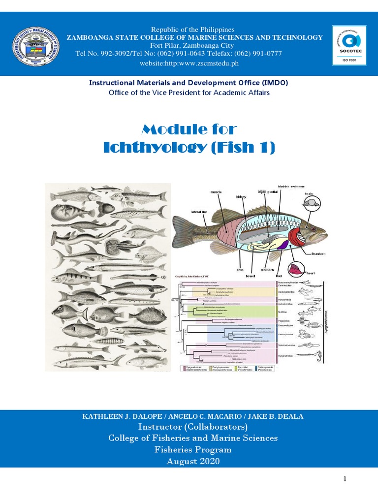 Module For Ichthyology (Fish 1) : Instructional Materials and ...