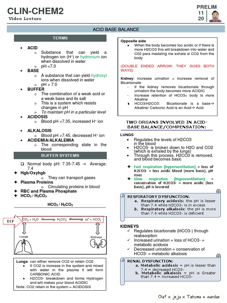 Acid Base | PDF | Bicarbonate | Carbon Dioxide