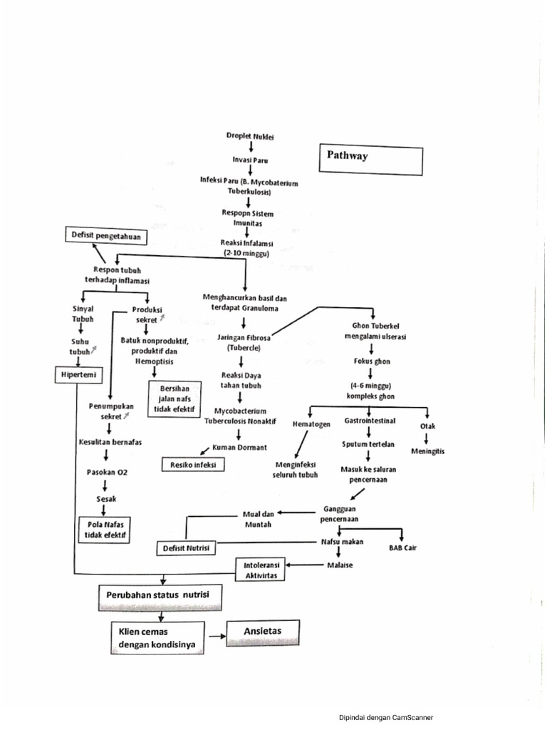 Pathway TB | PDF