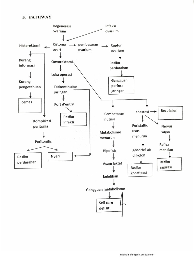 Pathway SDKI Kista Ovarium | PDF
