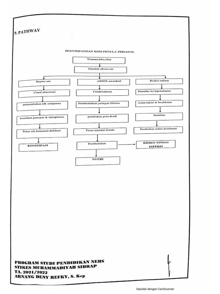 Pathway Fistula Perianal | PDF