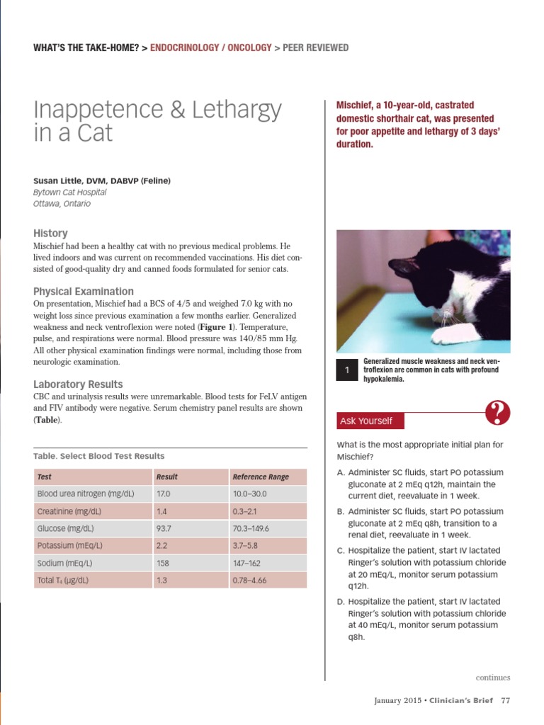 WTTH - Inappetence & Lethargy | PDF | Medical Specialties | Clinical ...