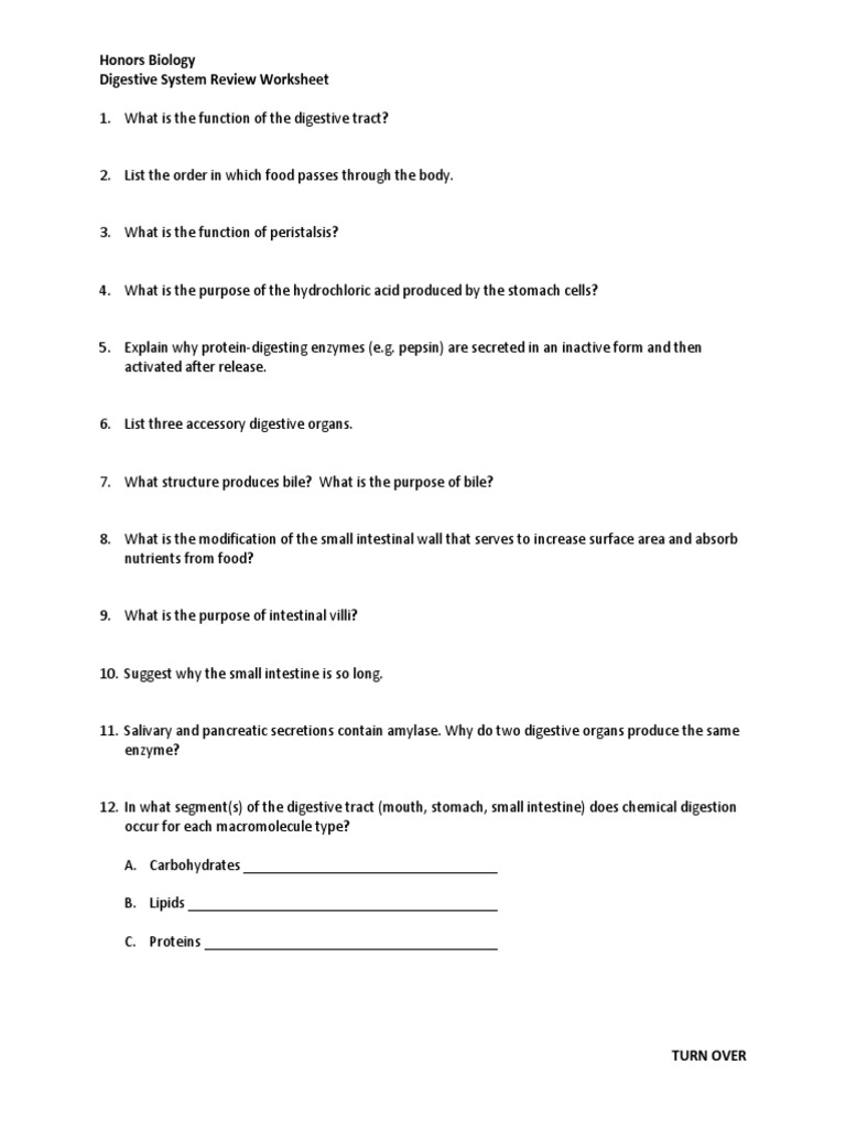 Honors Biology Digestive System Review Worksheet | PDF | Human ...