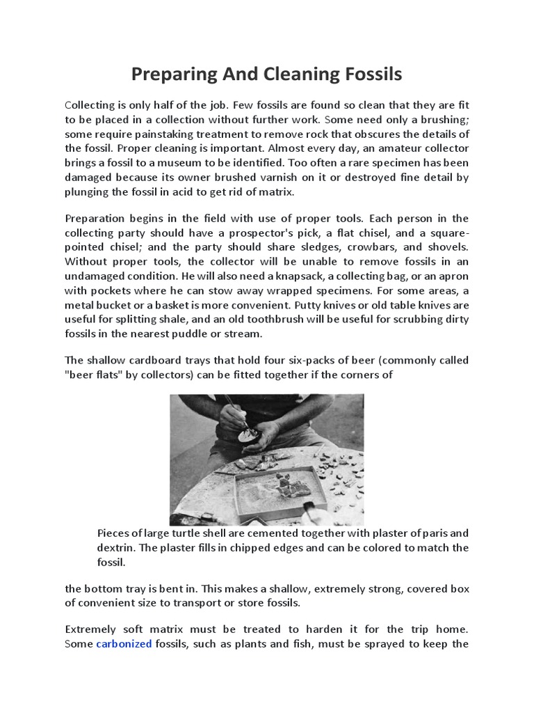 Fossil Preparation and Cleaning Guide | PDF | Fossil | Plaster