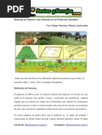 Ficha Técnica Del Pasto Guinea (Panicum Máximum Cv. Guinea Común) | PDF