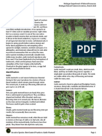 Weed Identification Guide | PDF | Clover | Leaf