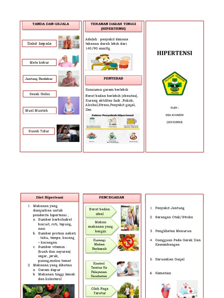 Leaflet Gerontik | PDF