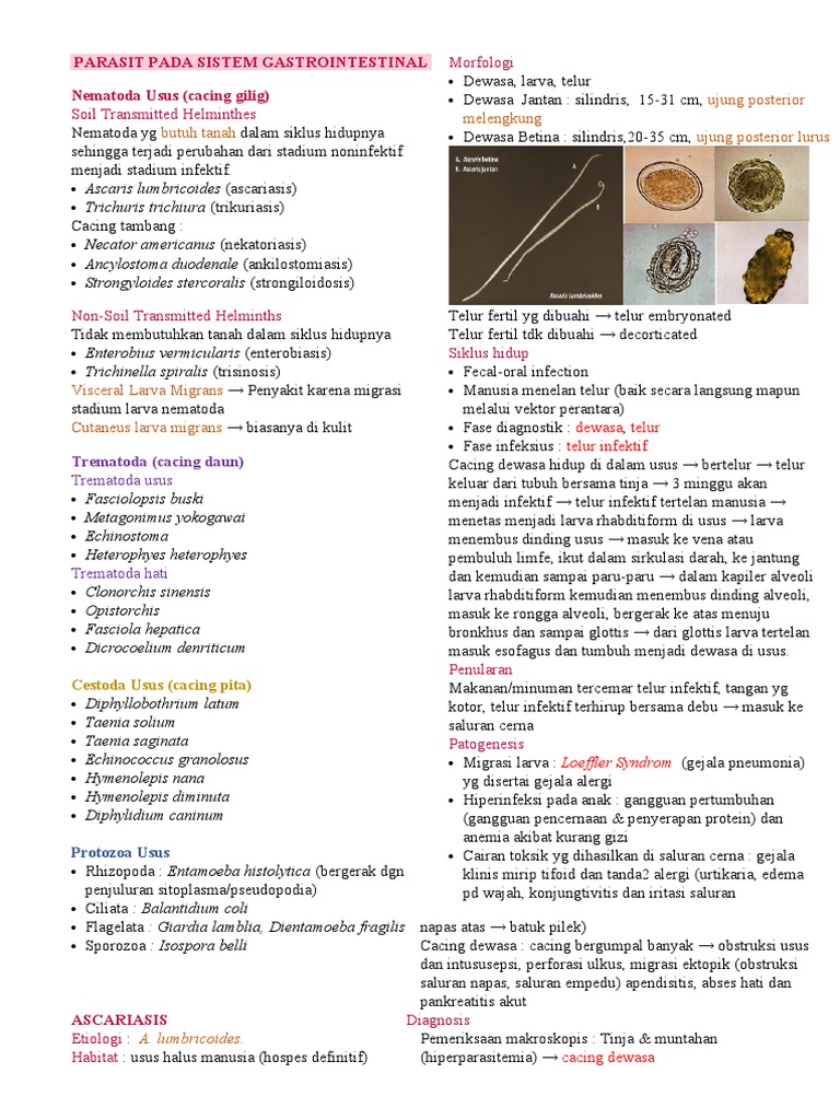 Parasit Pada Sistem Gastrointestinal | PDF | Griya & Taman | Kesehatan ...