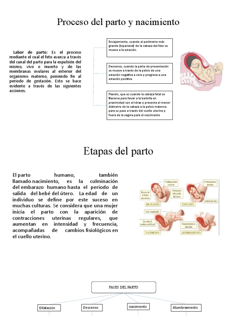 Proceso Del Parto y Nacimiento | PDF | Parto | Salud maternal