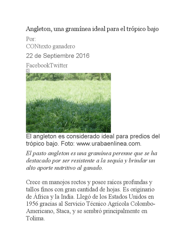 Pasto Angleton | PDF | Riego | Agricultura