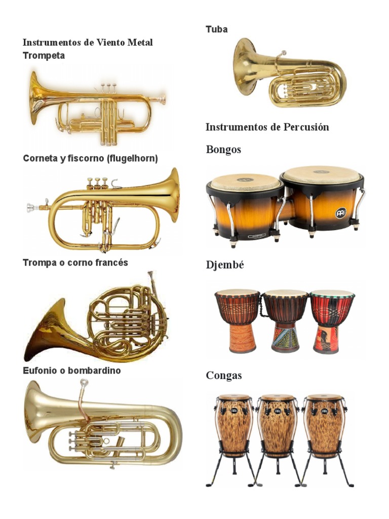 Lista De Instrumentos De La Familia De Los Metales Instrumentos De