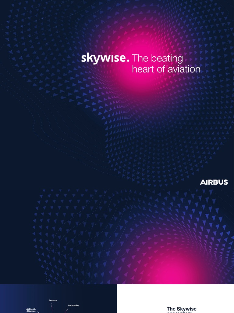 Skywise Brochure 2019 | PDF | Business | Computers