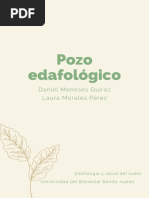 Edafologia Descripcion de Suelos | PDF | Suelo | Ciencias de la Tierra