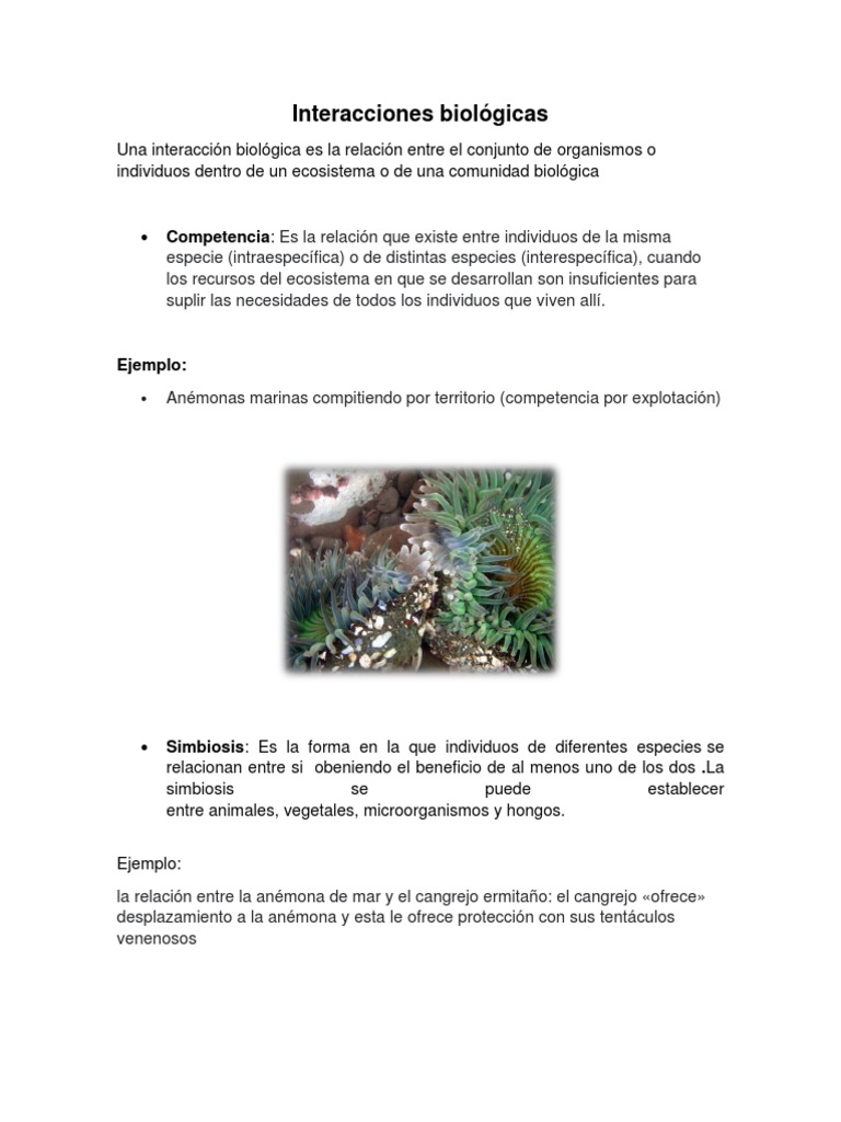 Interacciones Biológicas | PDF | Parasitismo | Depredación