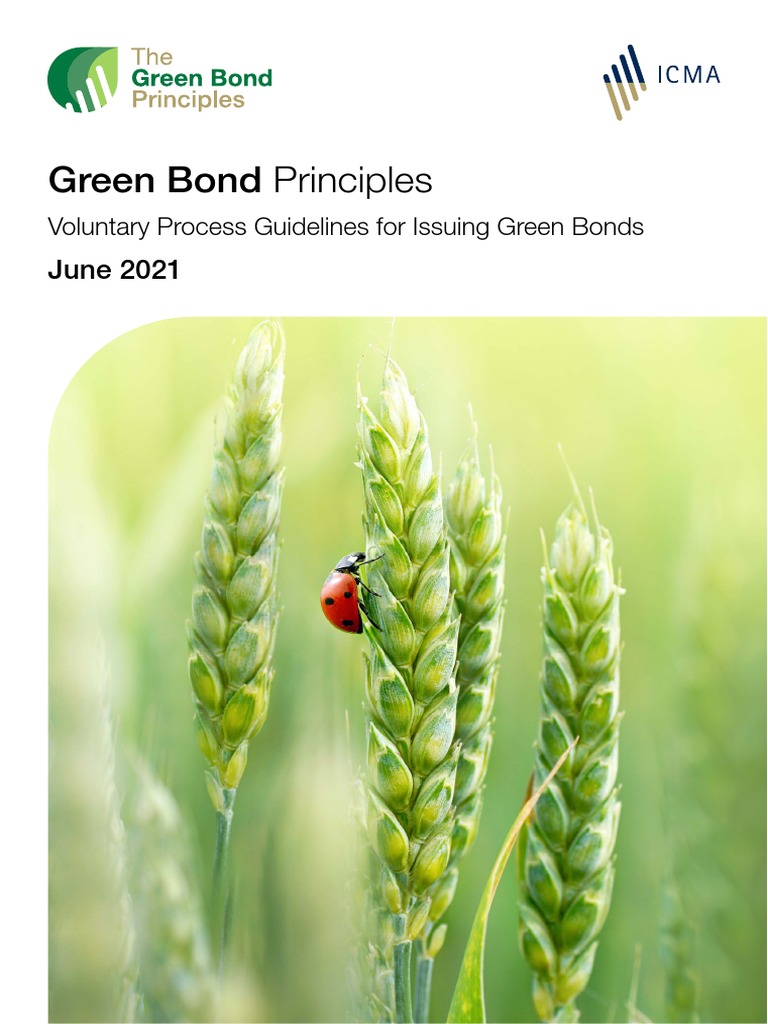Green Bond Principles: June 2021 | PDF | Sustainability | Bonds (Finance)