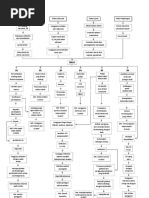 Pathway Bisitopenia | PDF
