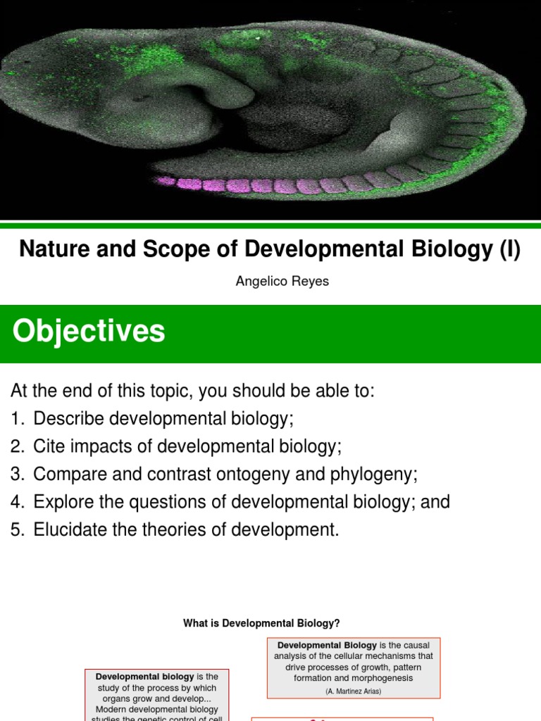 Introduction to Developmental Biology | PDF | Developmental Biology ...