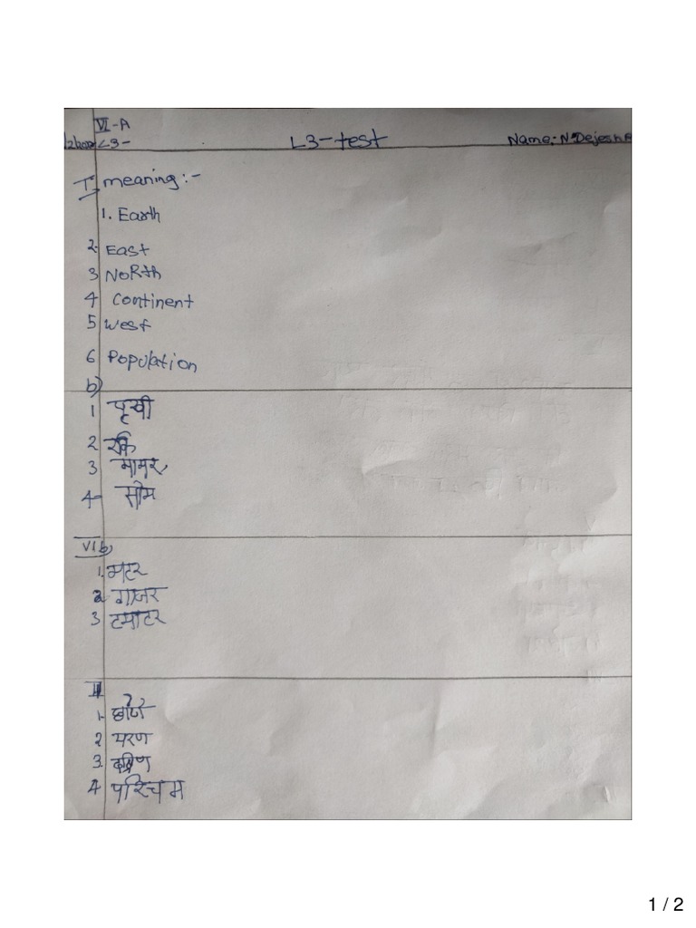 Hindi Test | PDF