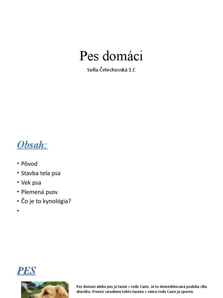 Pes Domáci | PDF