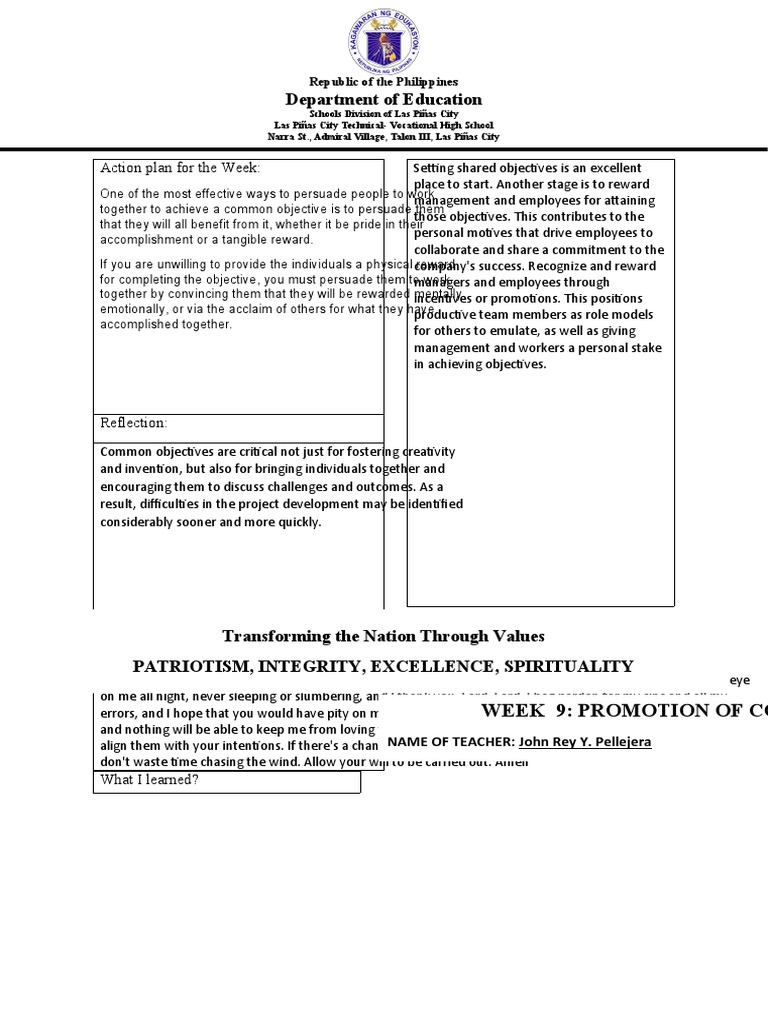 Pellejera-Vrp - Promotion of Common Goal | PDF | Cognition ...