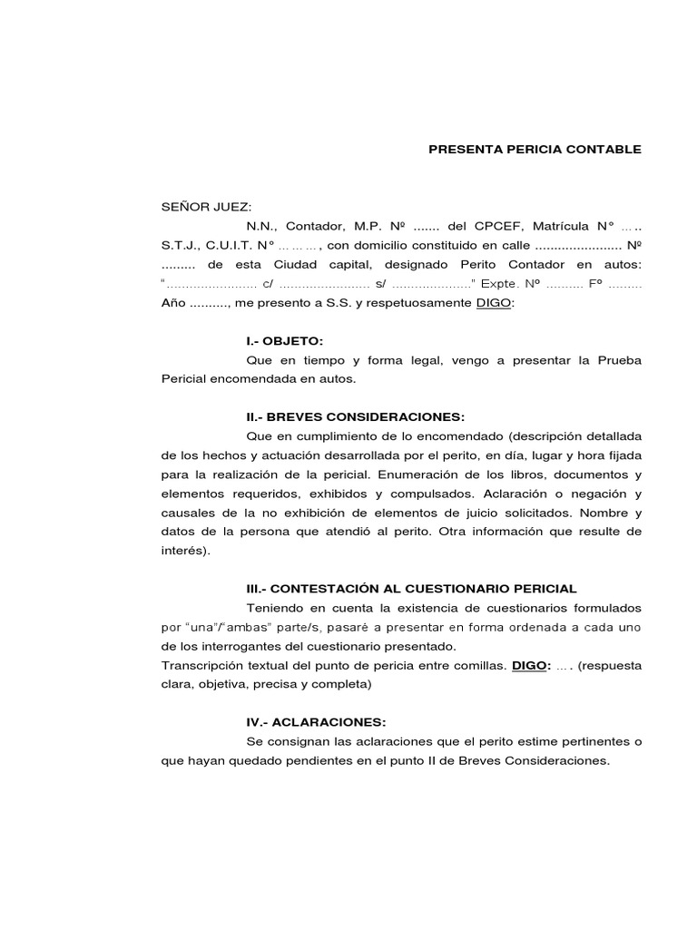 Informe Pericial Contable Modelo | PDF
