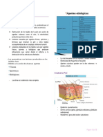 Quemaduras Faciales y Signos de Flogosis | PDF | Quemar | Inflamación